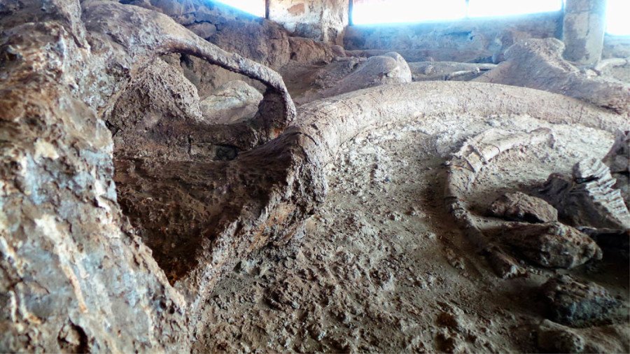 Koobi Fora Museum & Elephant Fossil site – Safari254