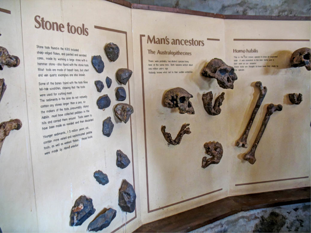 Koobi Fora Museum & Elephant Fossil site – Safari254