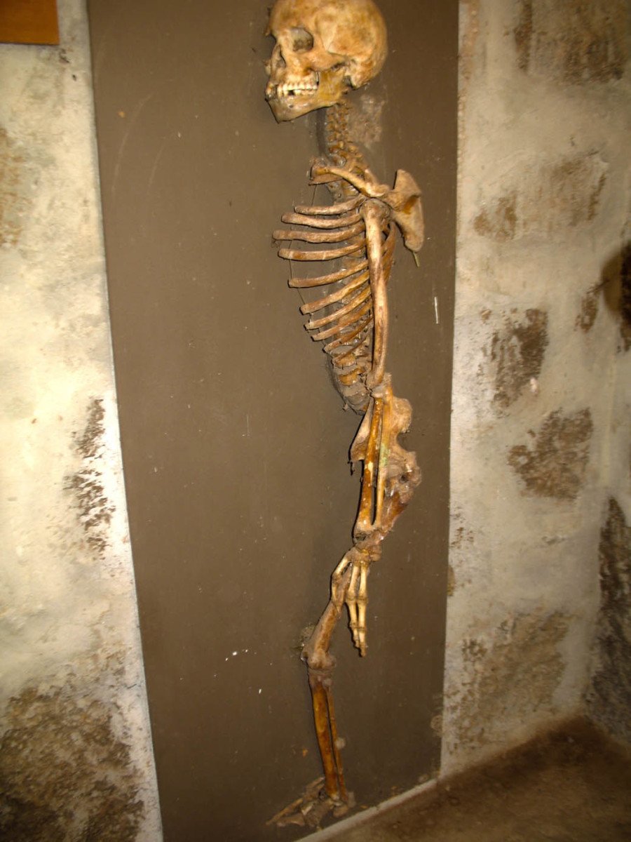 Koobi Fora Museum & Elephant Fossil site – Safari254