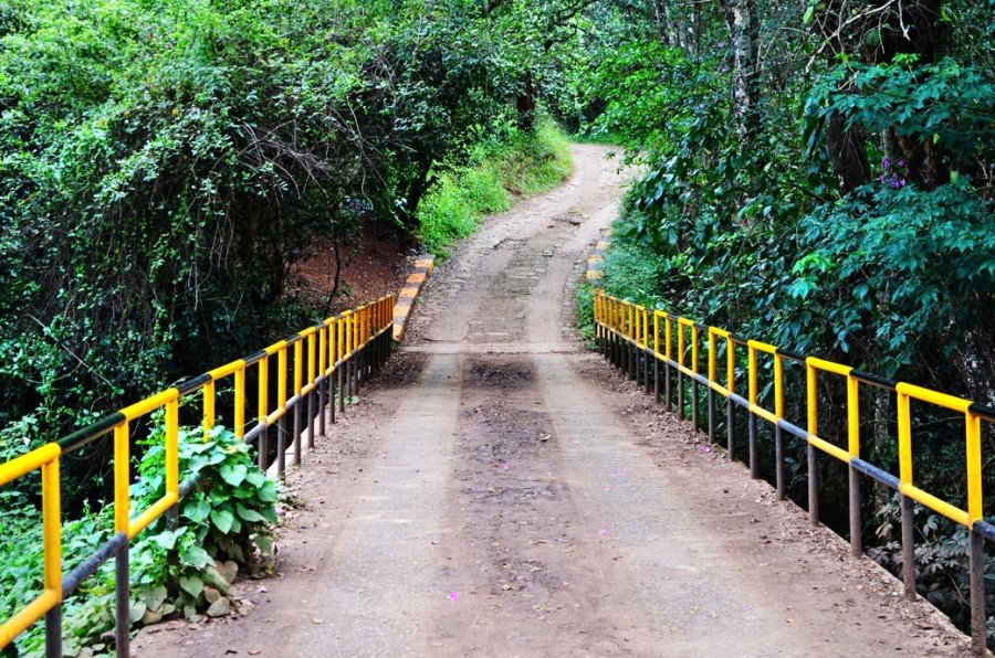 Oloolua Nature Trail – Safari254