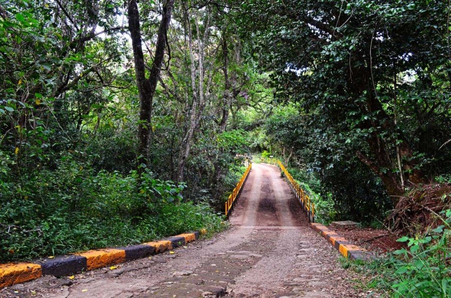 Oloolua Nature Trail – Safari254