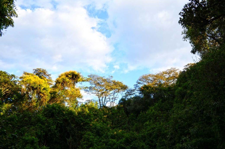 Oloolua Nature Trail – Safari254