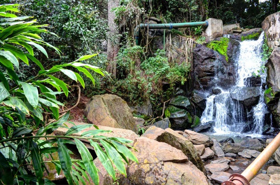 Oloolua Nature Trail – Safari254