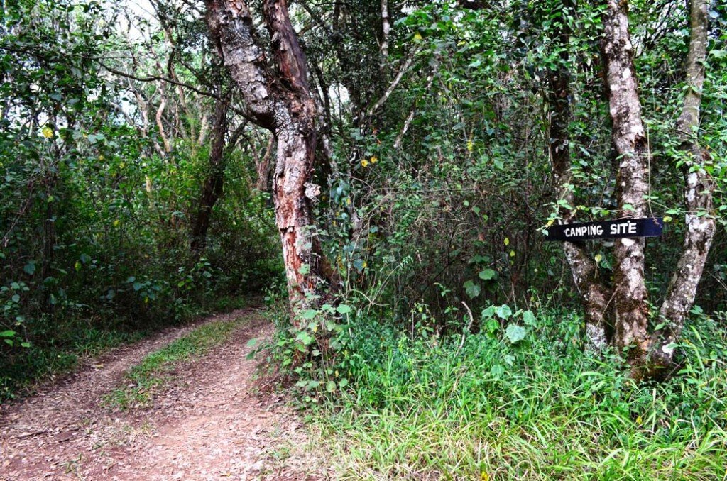 Oloolua Nature Trail – Safari254